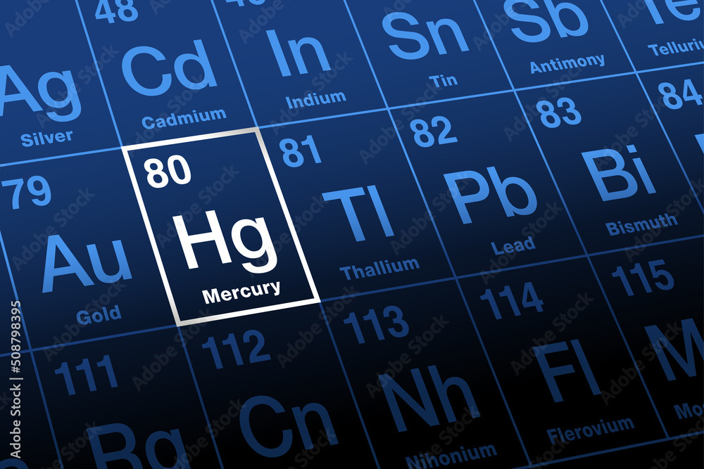 Mercury on periodic table of the elements. Known as quicksilver, a ...