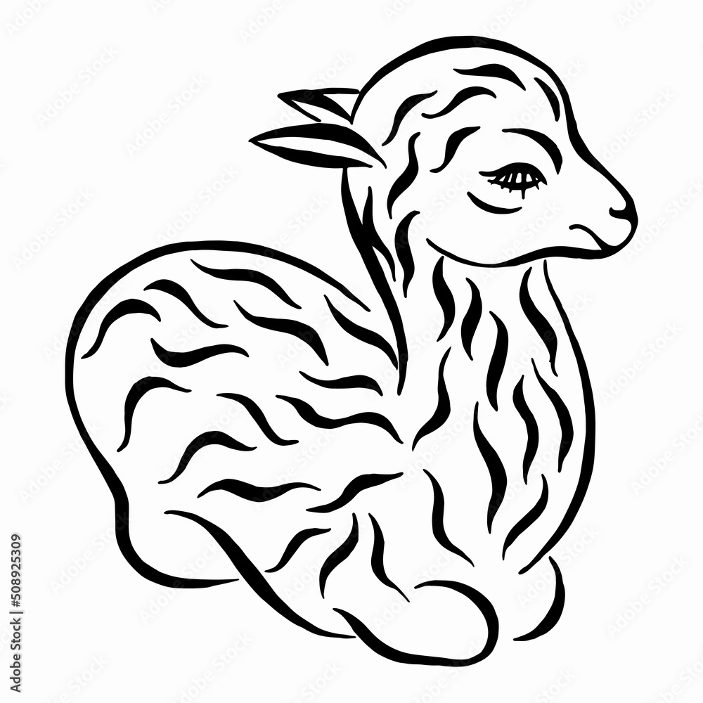 Baby llama drawing. Cute curly llama silhouette drawing vector. Black ...