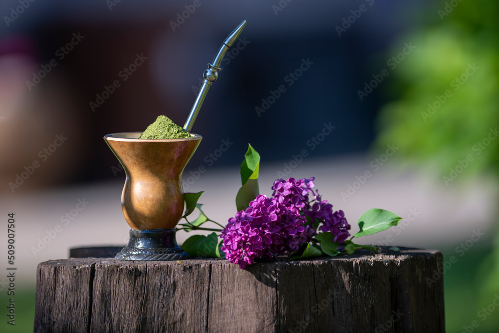 Foto de Stock Chimarrao, a traditional Brazilian yerba mate tea. Herba ...