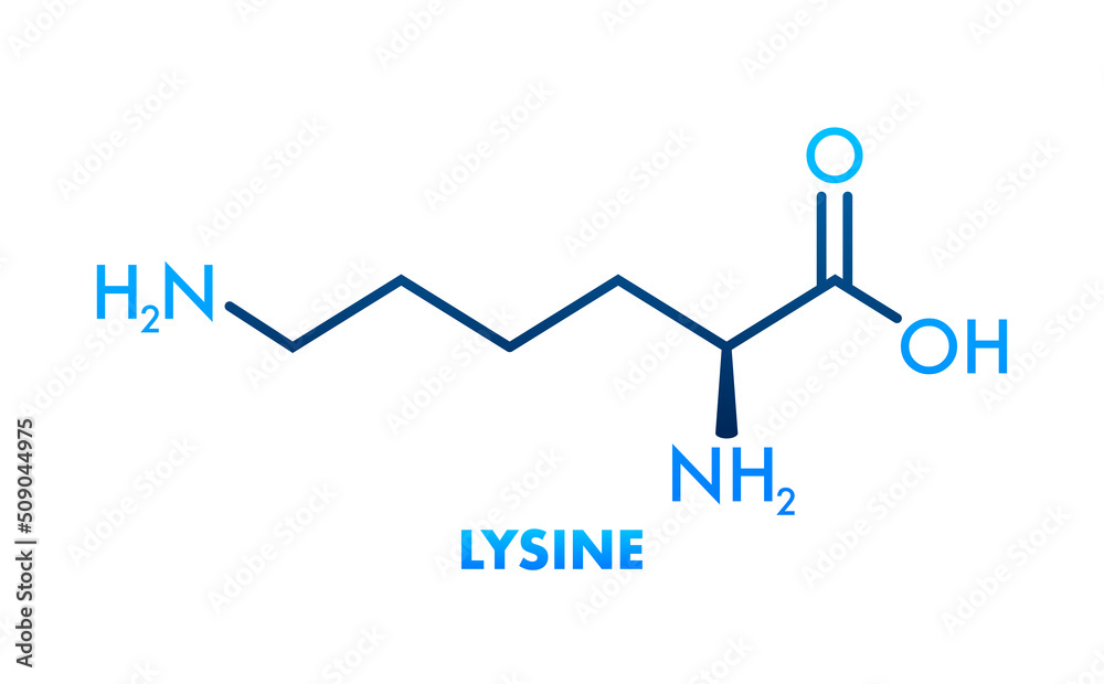 Lysine formula, great design for any purposes. Essential Amino Acid ...