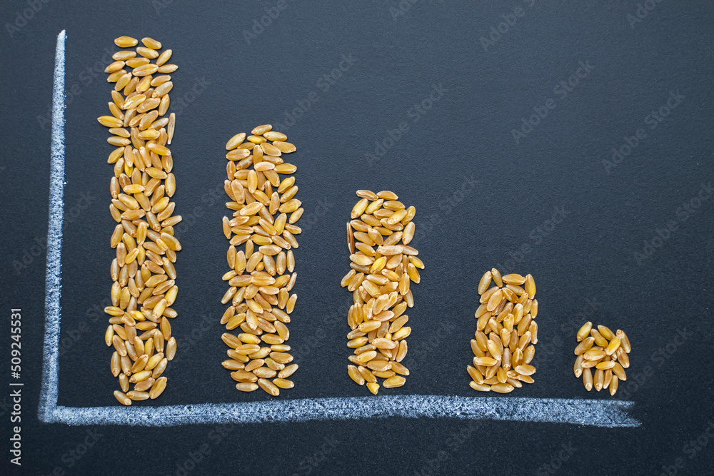 Bar chart of wheat grains, declining world wheat supply. Food crisis ...