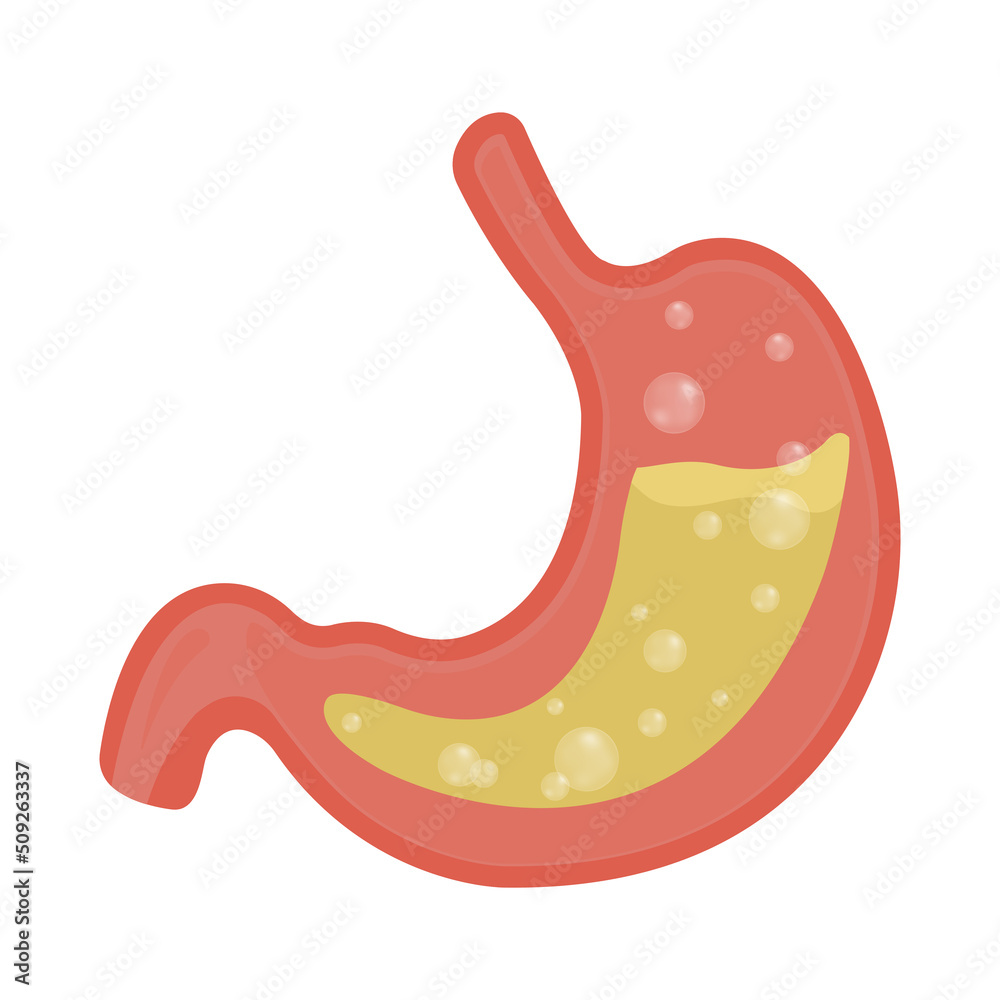 Stomach icon. Symbol of human internal organs. Anatomy of the digestive ...
