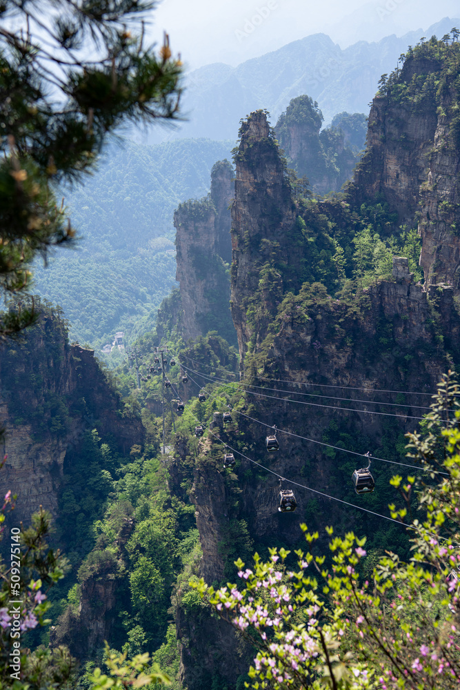 Sharp peaks and cable cars of Tianzi mountain of Avatar Zhangjiajie ...