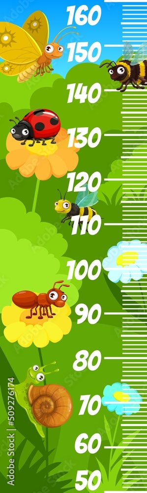 Cartoon cute insects kids height chart. Vector growth meter, wall ...