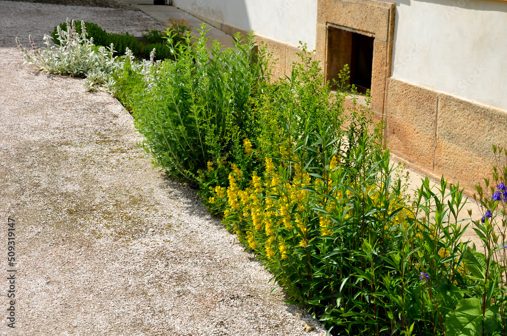 The flowerbed between the sidewalk and the roadway of the street is ...