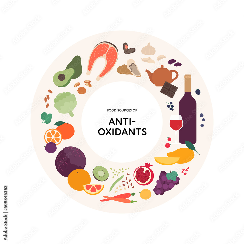 เวกเตอร์ Stock Healthy food guide concept. Vector flat illustration ...