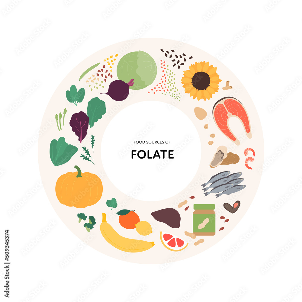 Healthy food guide concept. Vector flat illustration. Infographic of ...