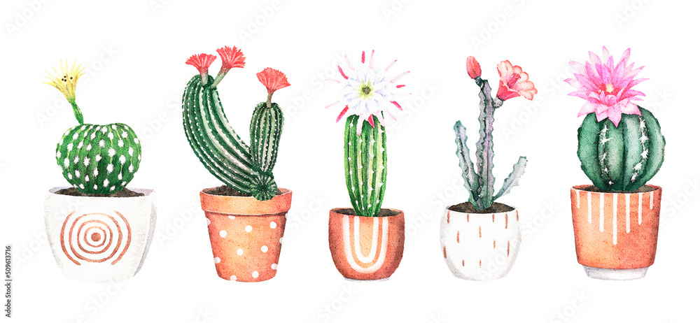 Watercolor green cactus illustration. Flowering cacti in terracotta ...