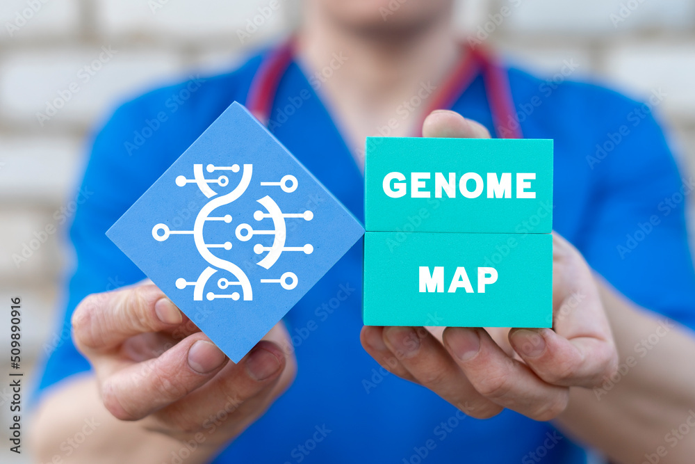Concept of genome sequence map. Dna test. Big Genomic Data ...