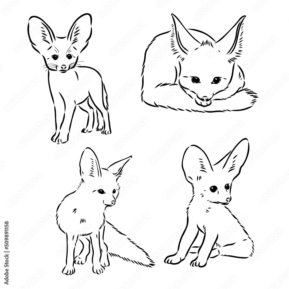 Vector illustration of a young fennec fox walking. fox fenek vector ...