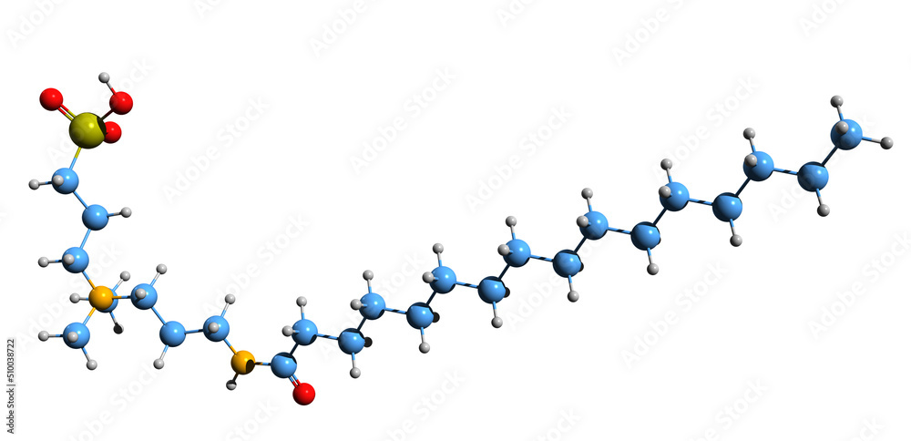 3D image of amidosulfobetaine 16 skeletal formula - molecular chemical ...
