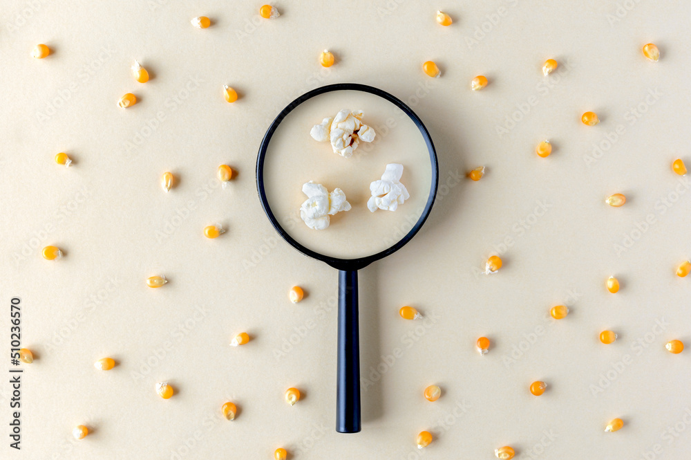 A pattern with corn and a magnifying glass through which popcorn can be ...