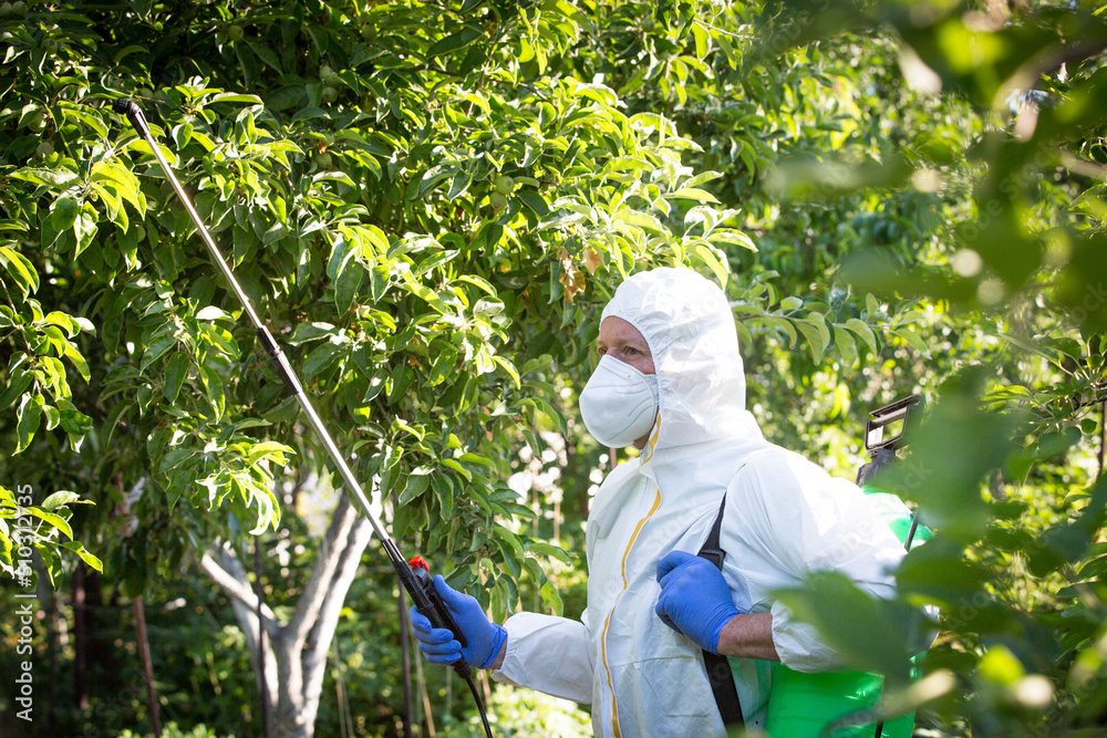 The process of treating plants with pesticides. Farmer in protective ...