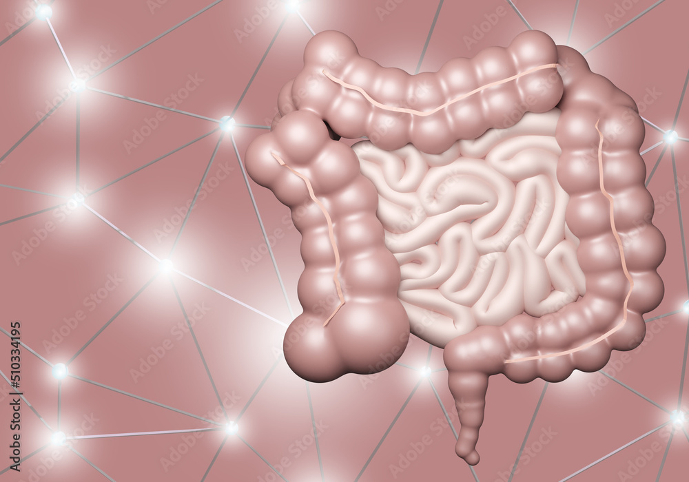 Human intestine. Intestines on pink background. Gastrointestinal tract ...