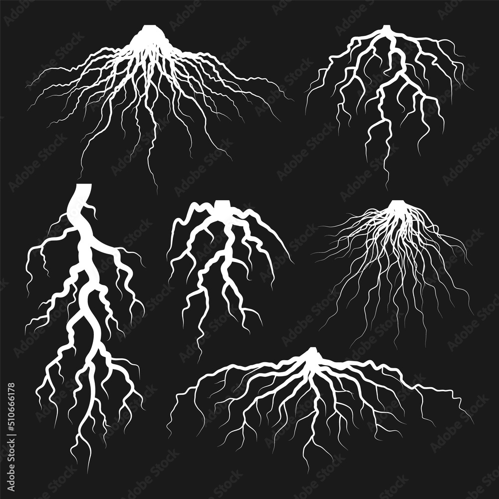 Various realistic tree or shrub roots. Parts of plant, root system with ...