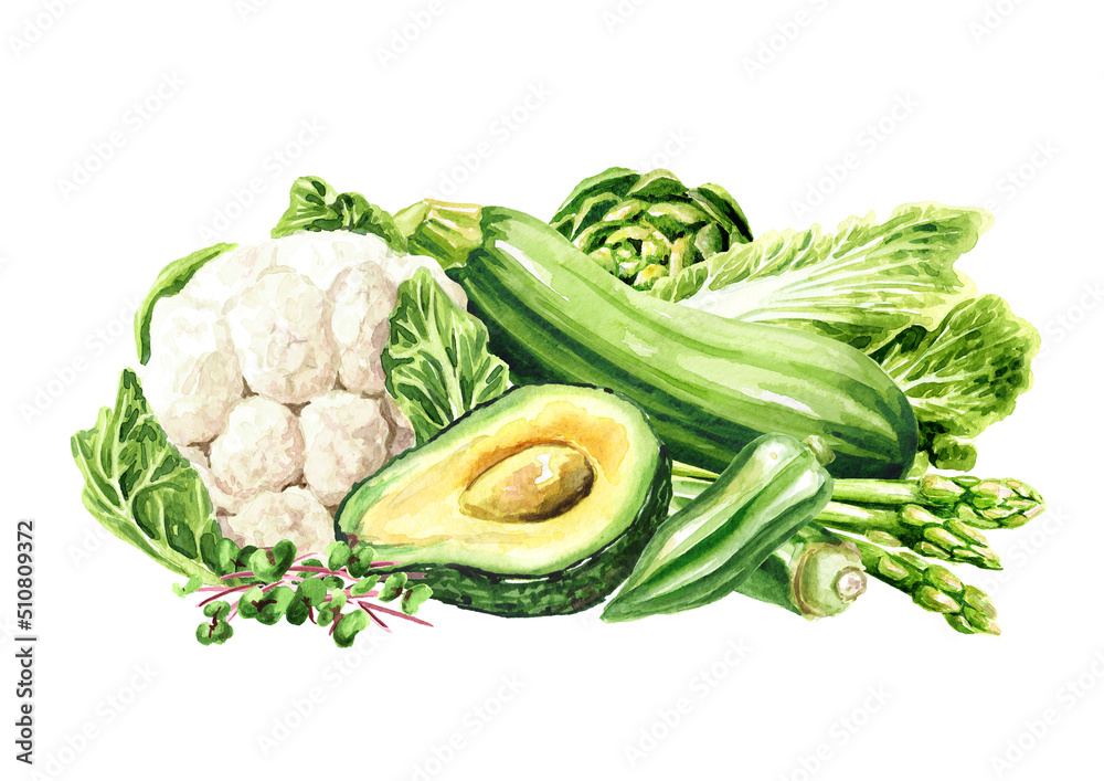 Vegan green fresh vegetables. Hand drawn watercolor illustration ...