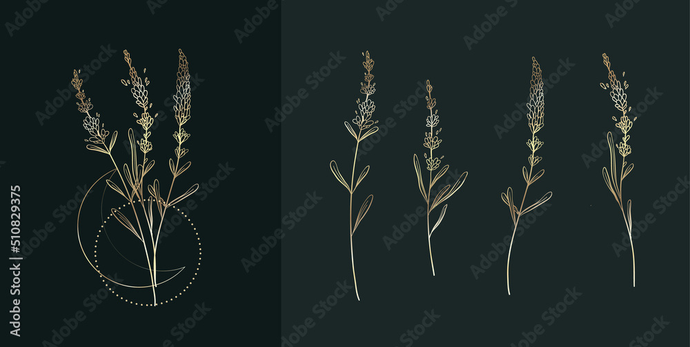 Lavender logo and branchin silhouette style. Hand drawn wedding herb, plant and monogram with ...