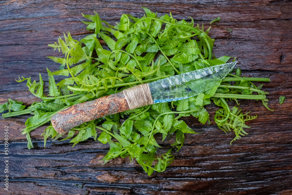 Moonstone handmade sharp knife natural stone age and ferns that ancient ...