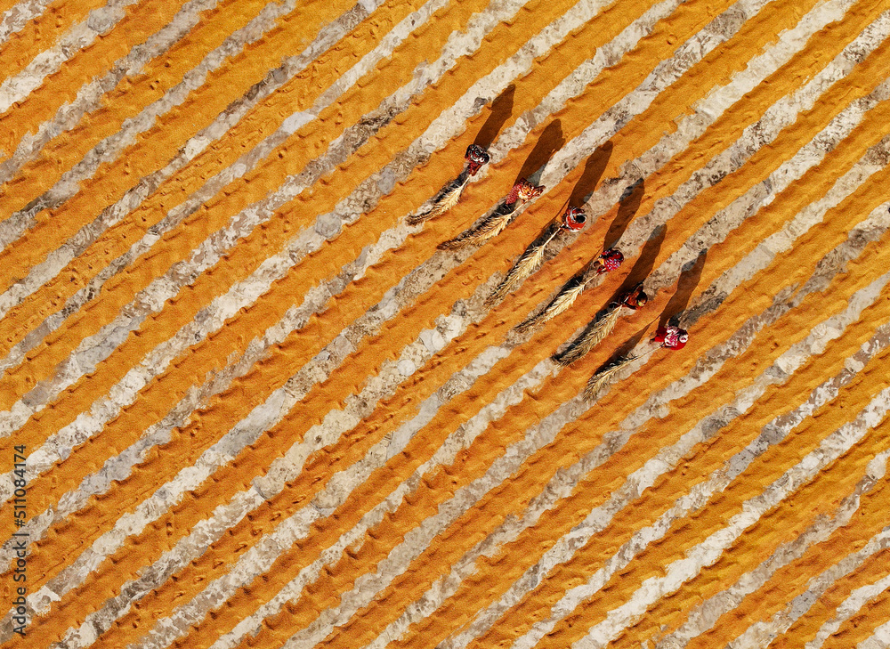 Workers working in small rice mill. Rice, paddy grain drying in sun ...
