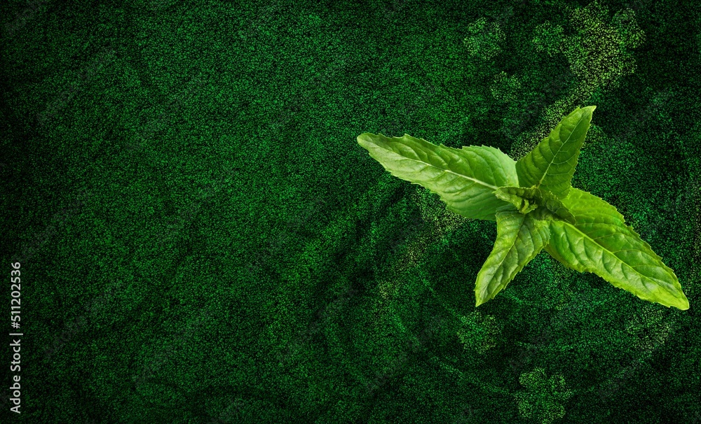 Carbon Neutral, ESG Concepts. Green Leaf. Environmental, Business and ...