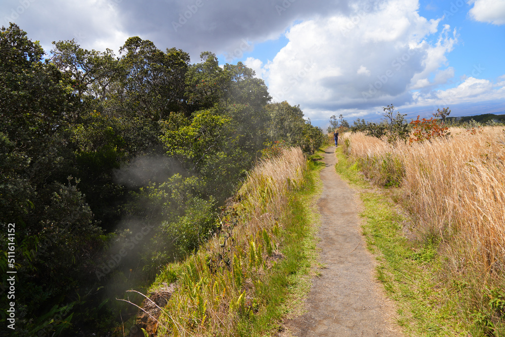 Steam vents along the Crater Rim Trail around the Kilauea volcano in ...