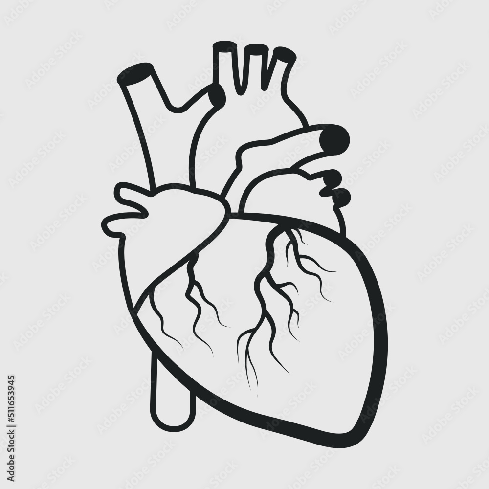 Realistic Heart Outline SVG Bundle Cut File, Anatomical Heart Svg ...