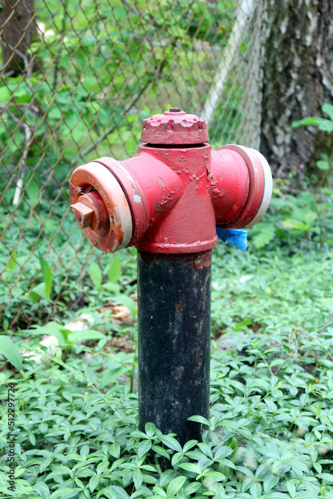 Red hydrant in the forest. Steel hydrant, stationary fire extinguisher ...