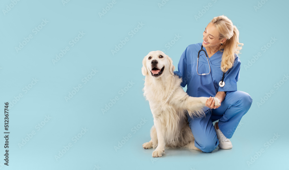Friendly veterinary clinic. Happy nurse posing with golden retriever ...