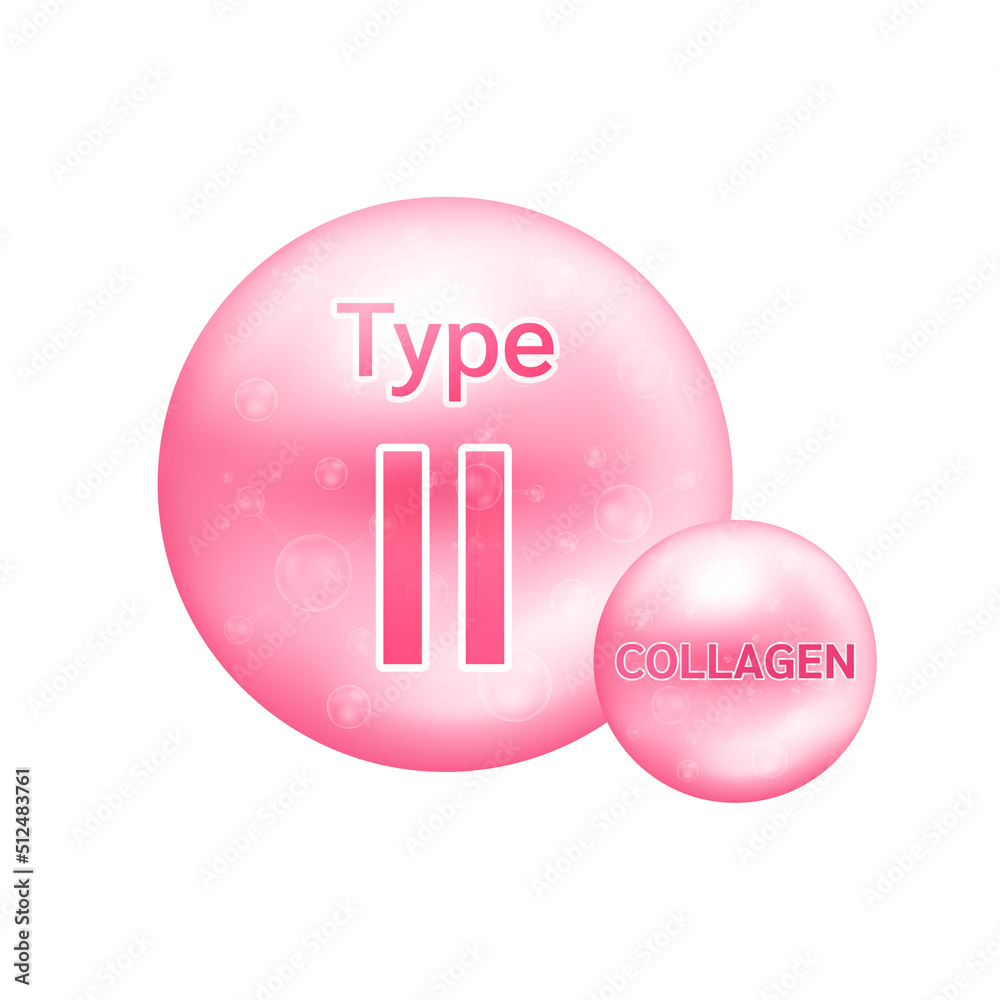 Vector de Stock Collagen type II. The five most common types of ...