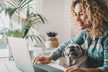 Dog Using Laptop Computer Free Stock Photo - Public Domain Pictures