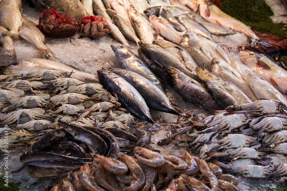 Fotografie Trade stalls at the Central Fish Market in Cairo, Egypt ve ...