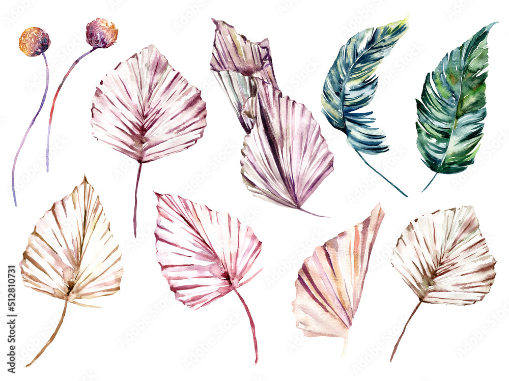 Watercolor tropical leaves collection. Hand painted watercolor exotic ...