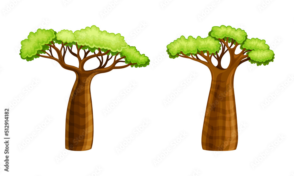 Baobab trees, powerful African tree cartoon vector illustration Stock ...