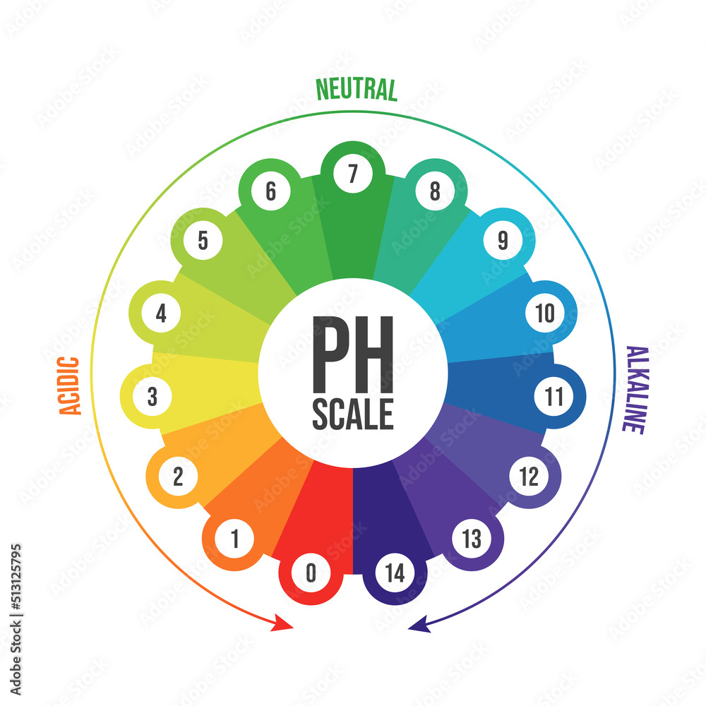 Vector illustration of pH scale isolated on white background. Color pH ...