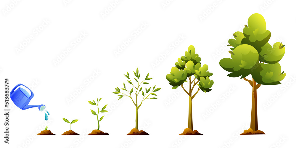 Tree growth and development stages cartoon illustration. Life cycle of ...