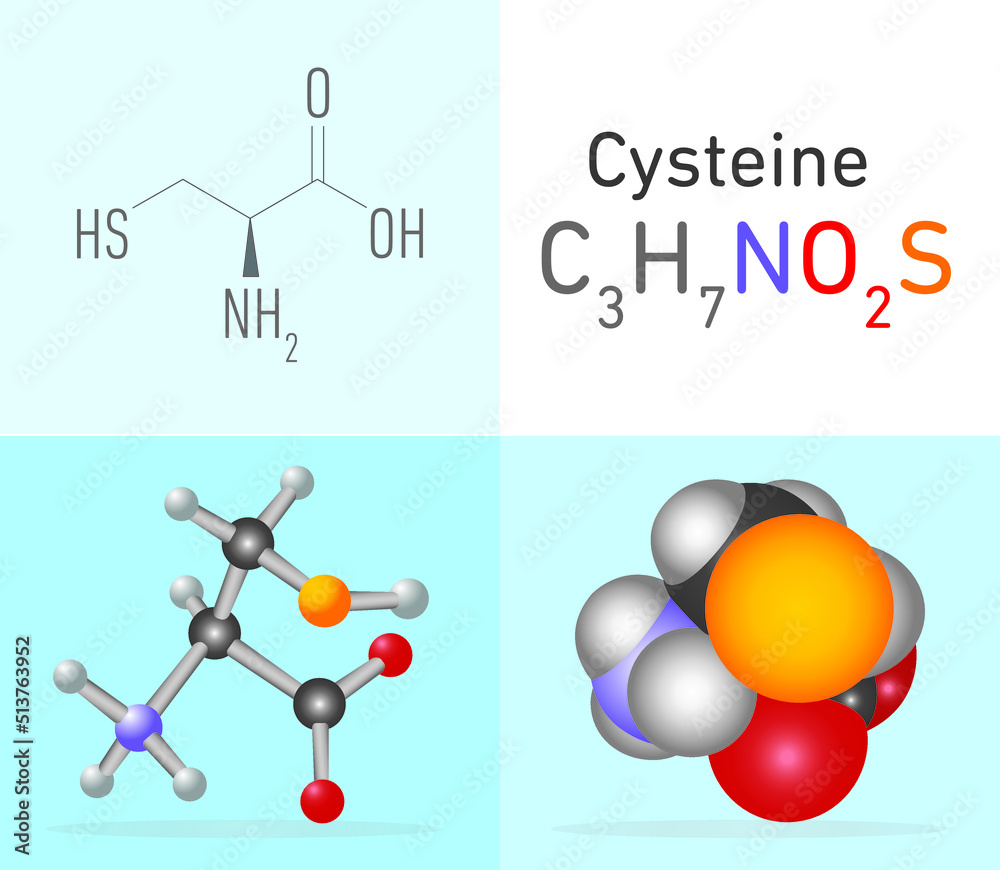 Cysteine (C3H7NO2S) amino acid. Two different molecule model and ...