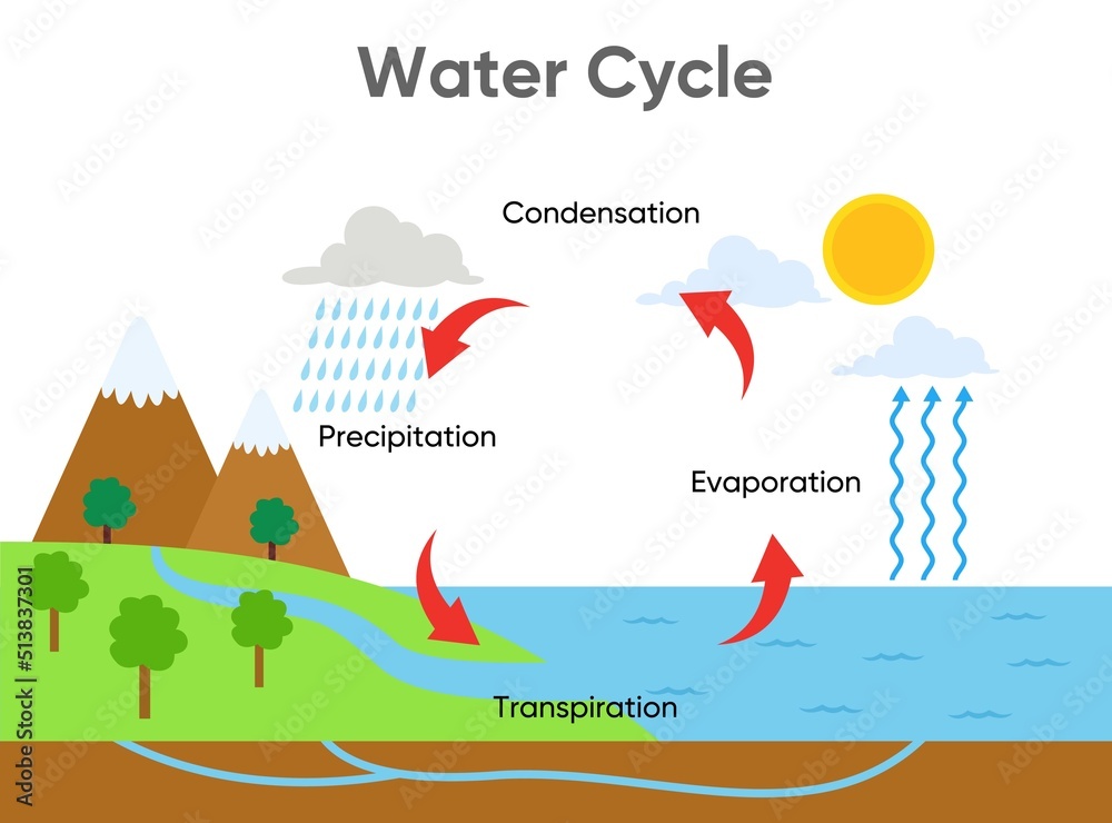 water cycle diagram with rainfall and ocean, vector design illustration ...