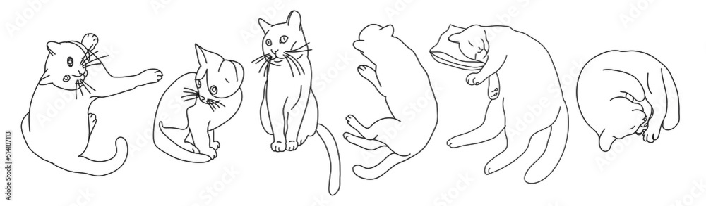 Minimalist vector set of illustrations with cats. Depiction of pets ...