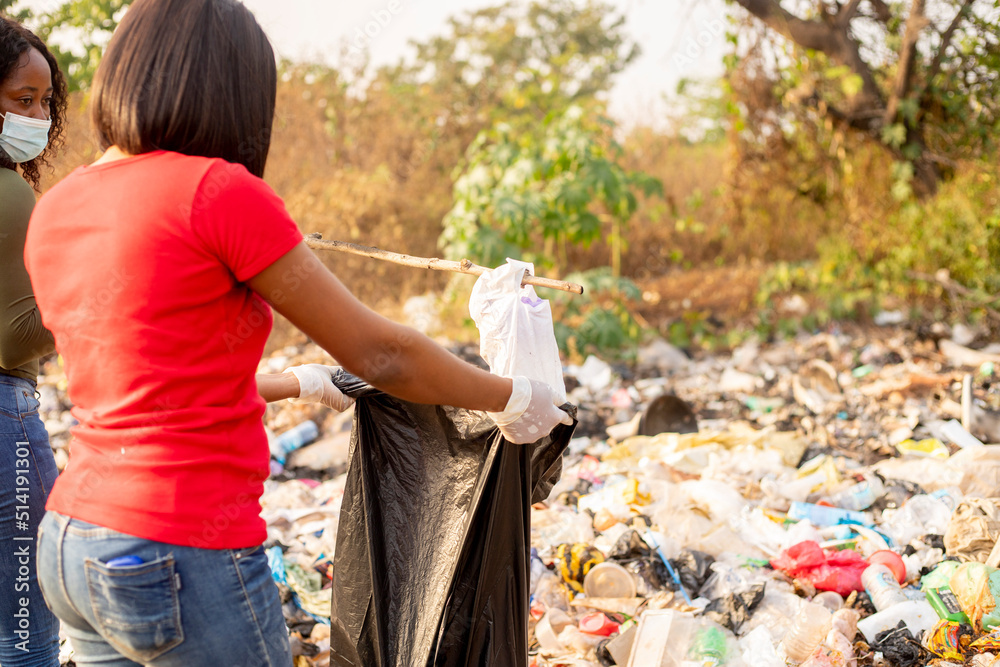 crop image of two voluntary beautiful female students collecting ...