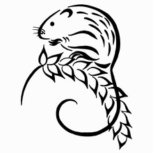 Field Mouse Sketch Art Free Stock Photo - Public Domain Pictures