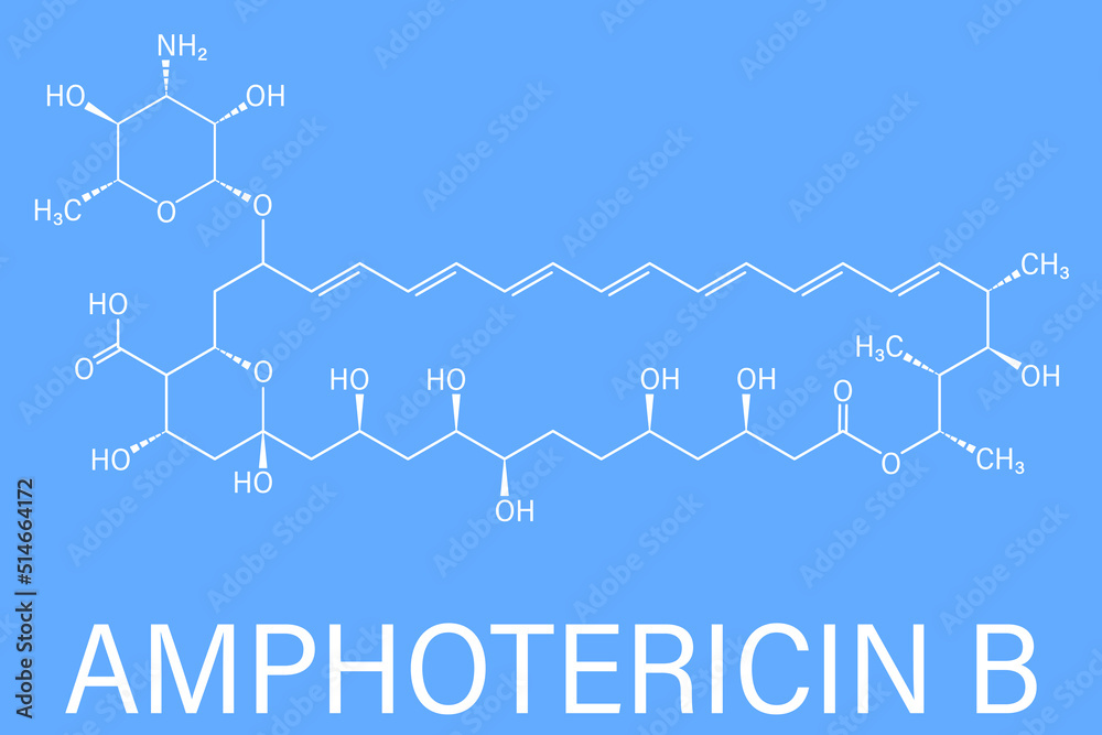 Skeletal formula of Amphotericin B antifungal drug molecule. Stock ...