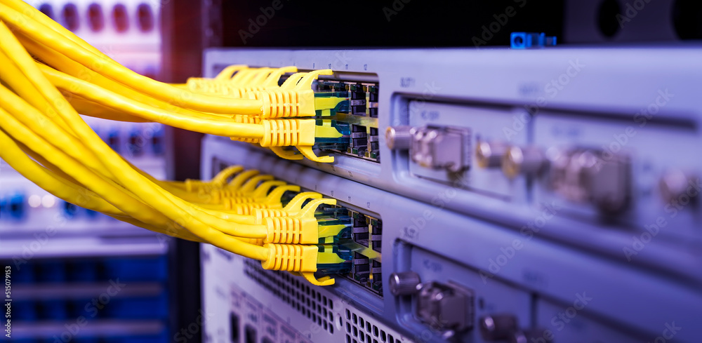 Server rack with blue and red internet patch cord cables connected to ...