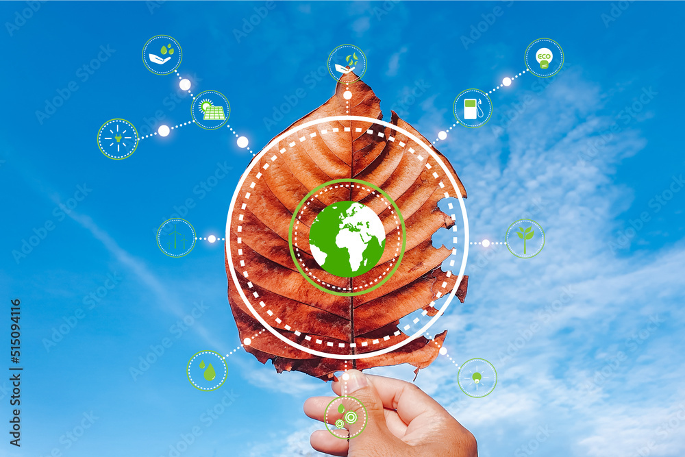 ESG icon, environmental and sustainable governance concept on dry leaf ...