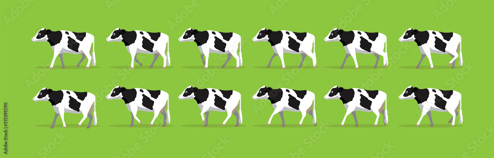 Animal Animation Cow Holstein Friesian Walking Cartoon Vector ...