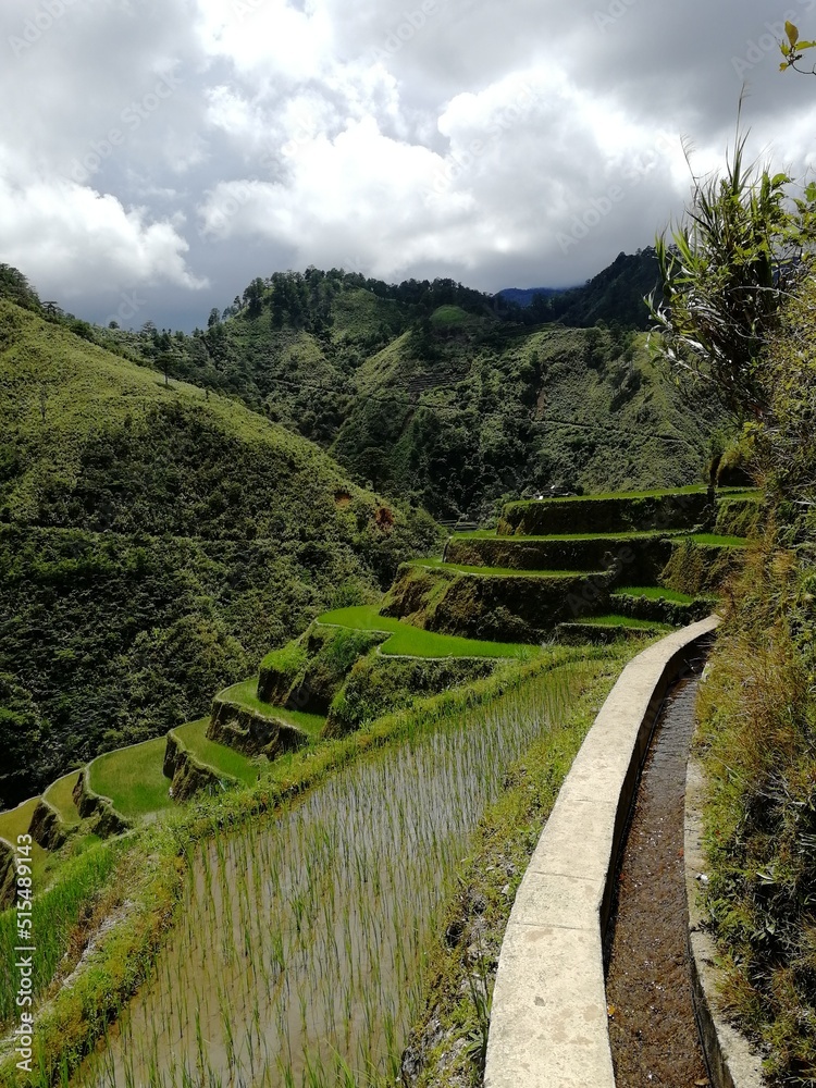 Rice Terraces of the Philippine Cordilleras, rice fields in Banaue ...