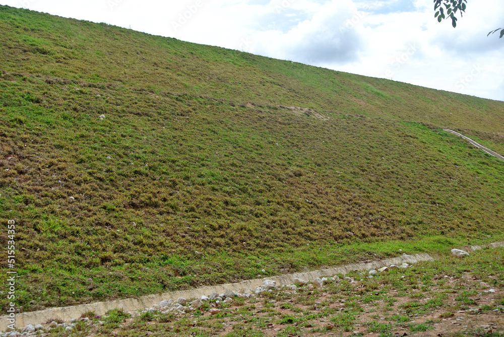 Permanent slope protection with grass using the hydroseed method. The ...