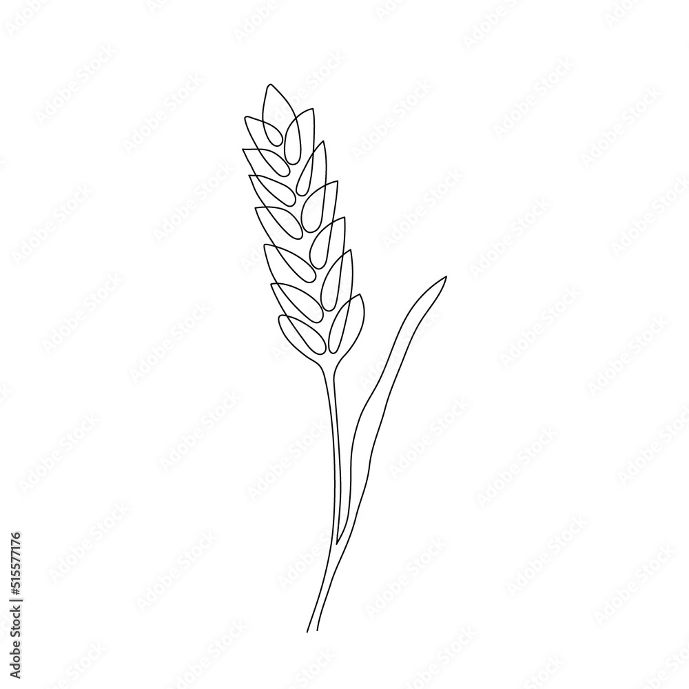 Wheat grain ear, nature bread, one single continuous art line drawing ...
