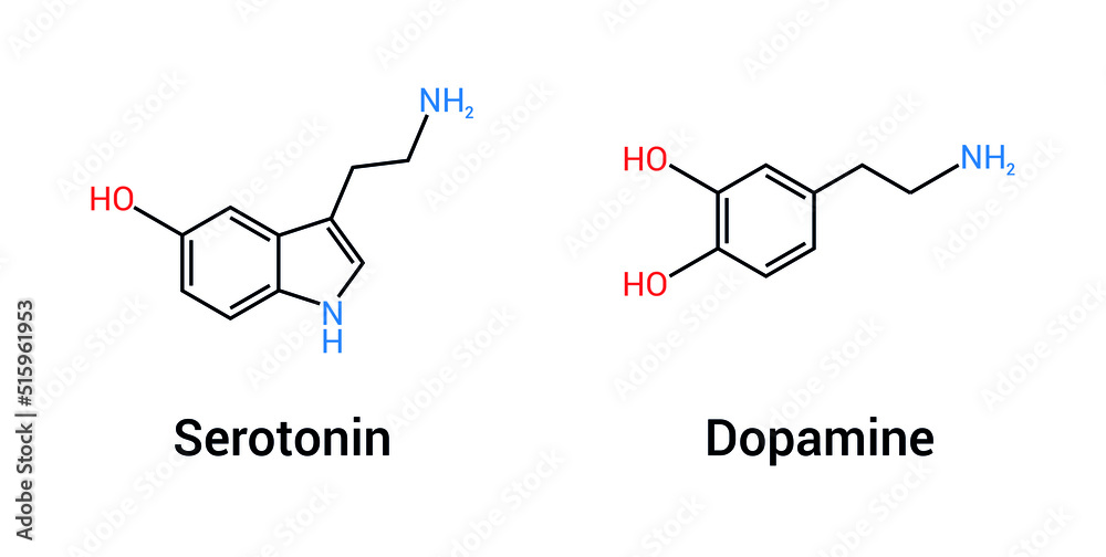 Dopamine And Serotonin Molecules