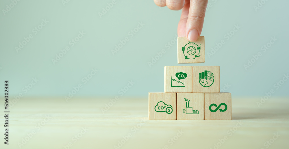 Growing sustainability. LCA-Life cycle assessment concept. Assessing ...