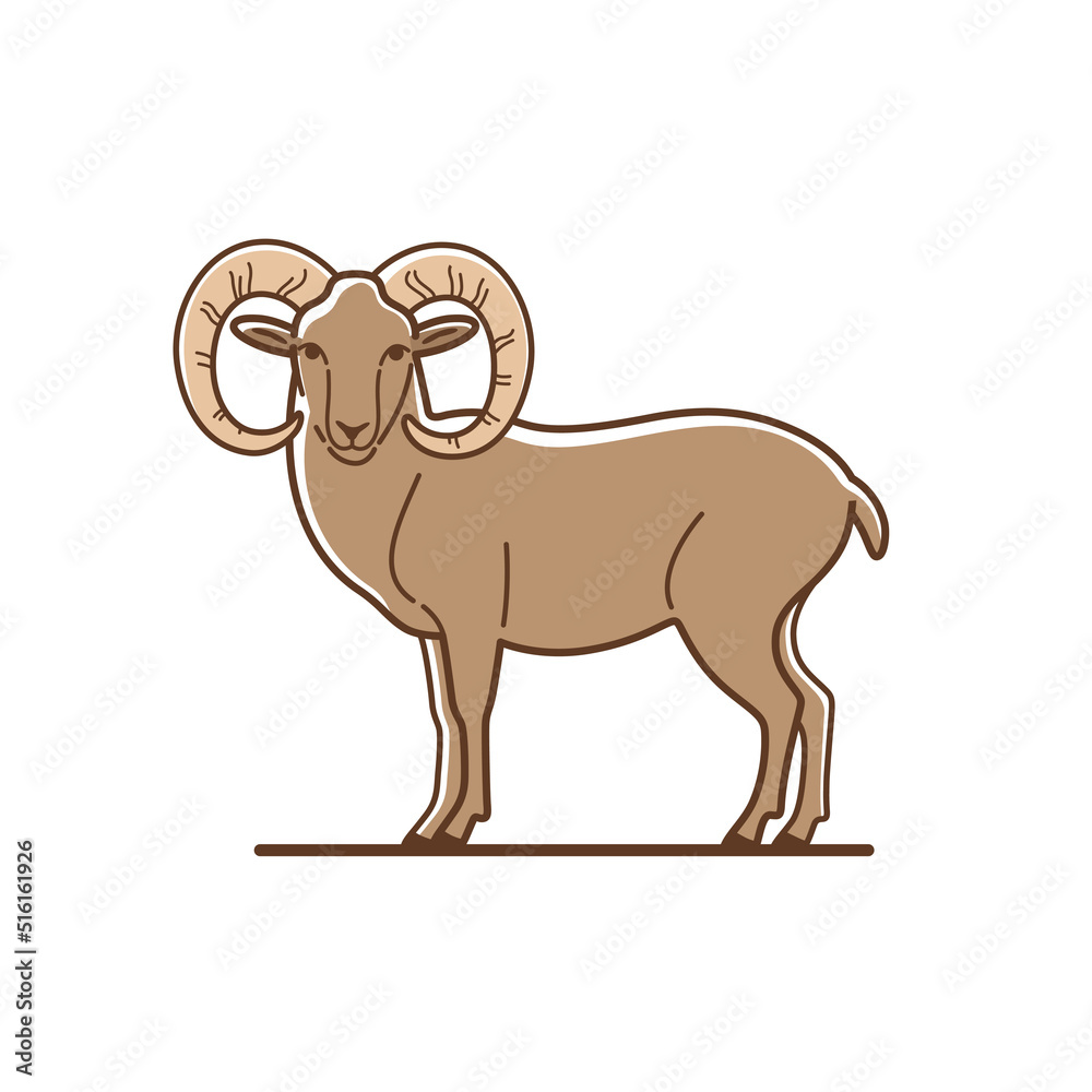 Bighorn print. llustration of ram. Simple contour vector illustration ...